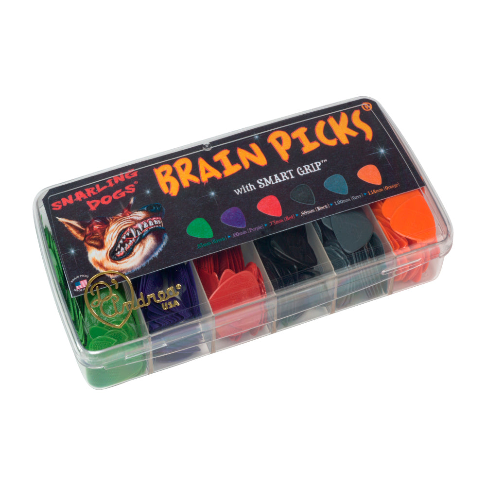 Brain Picks - 432pc Pick Kit – Alegree